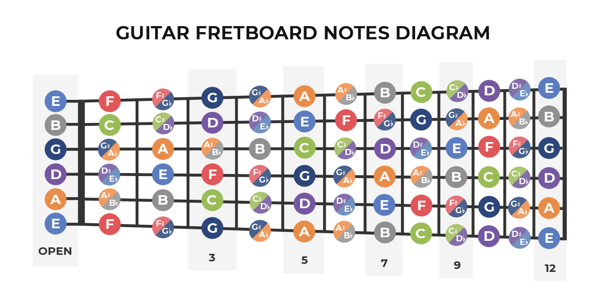 The Notes On The Fretboard – Guitar Alliance
